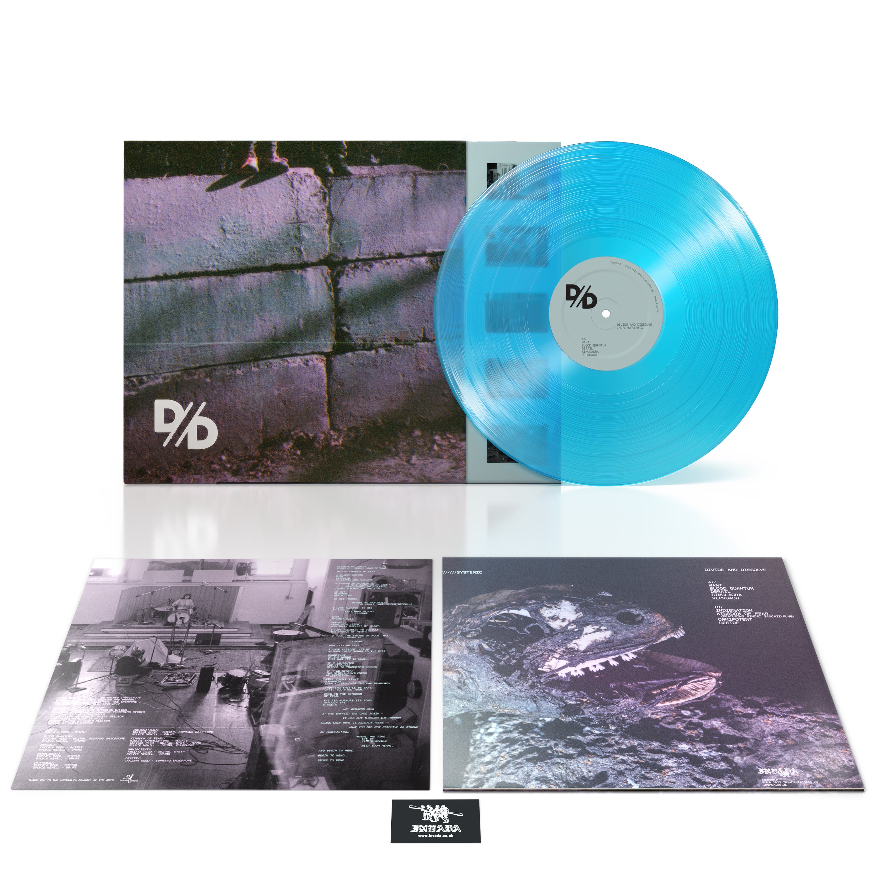 Divide and Dissolve - Systemic [Limited Edition Vinyl - DAMAGED SLEEVE ...